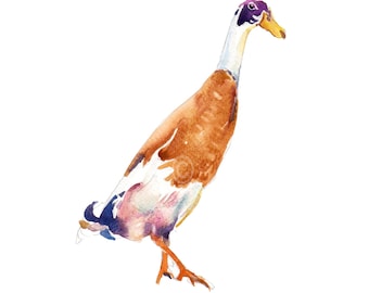 Duck watercolor | Etsy