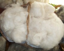 Popular items for cloud lights on Etsy