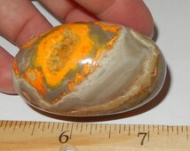 Popular items for bumble bee jasper on Etsy