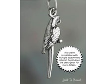 Popular items for parrot charm on Etsy