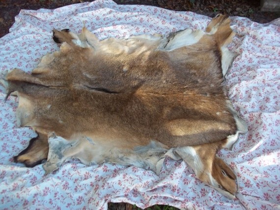 Real African hide animal skin leather tanned fur rug taxidermy