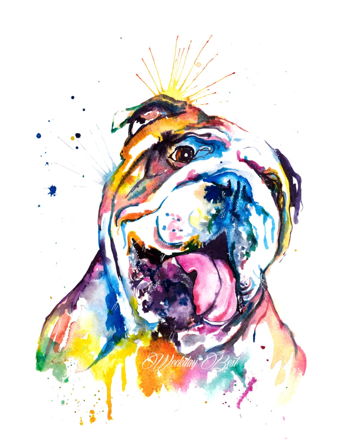 Colorful English Bulldog Art Print Print of my Original