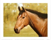 Original Paintings and Prints from John by JohnSilverFineArts