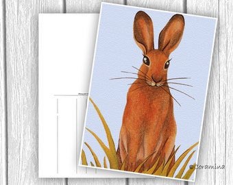Rabbit postcard | Etsy