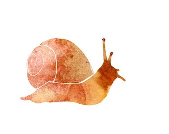 Popular items for snail watercolor on Etsy