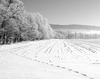 Snowy field photo | Etsy