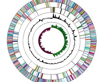 DNA DNA sticker Science Science Sticker Laptop Sticker