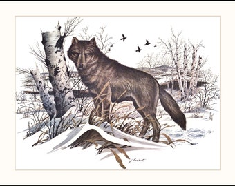 Wolf Art Print, Grey Timber Wolf, Home Office Decor Wall Art (11x14 ...
