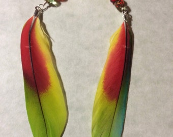 Yellowish green and red amazon parrot feather earrings adorned with ...