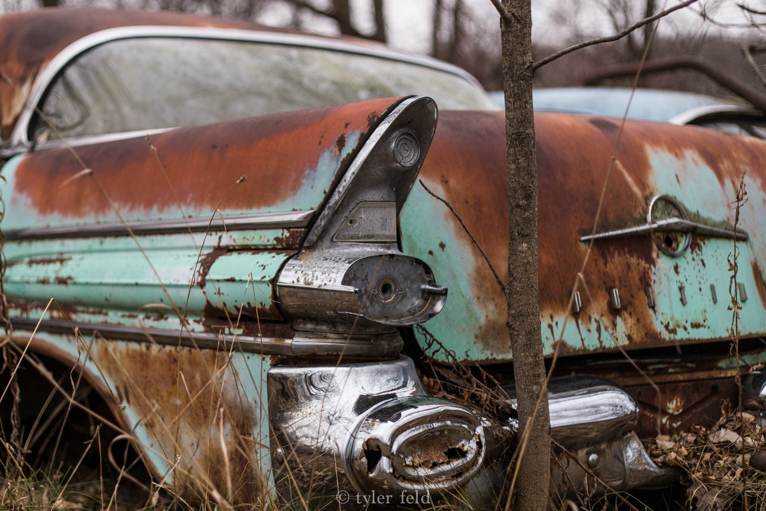 Rusty Classic Pontiac Junk Yard Photo Print by TylerFeldPhotos