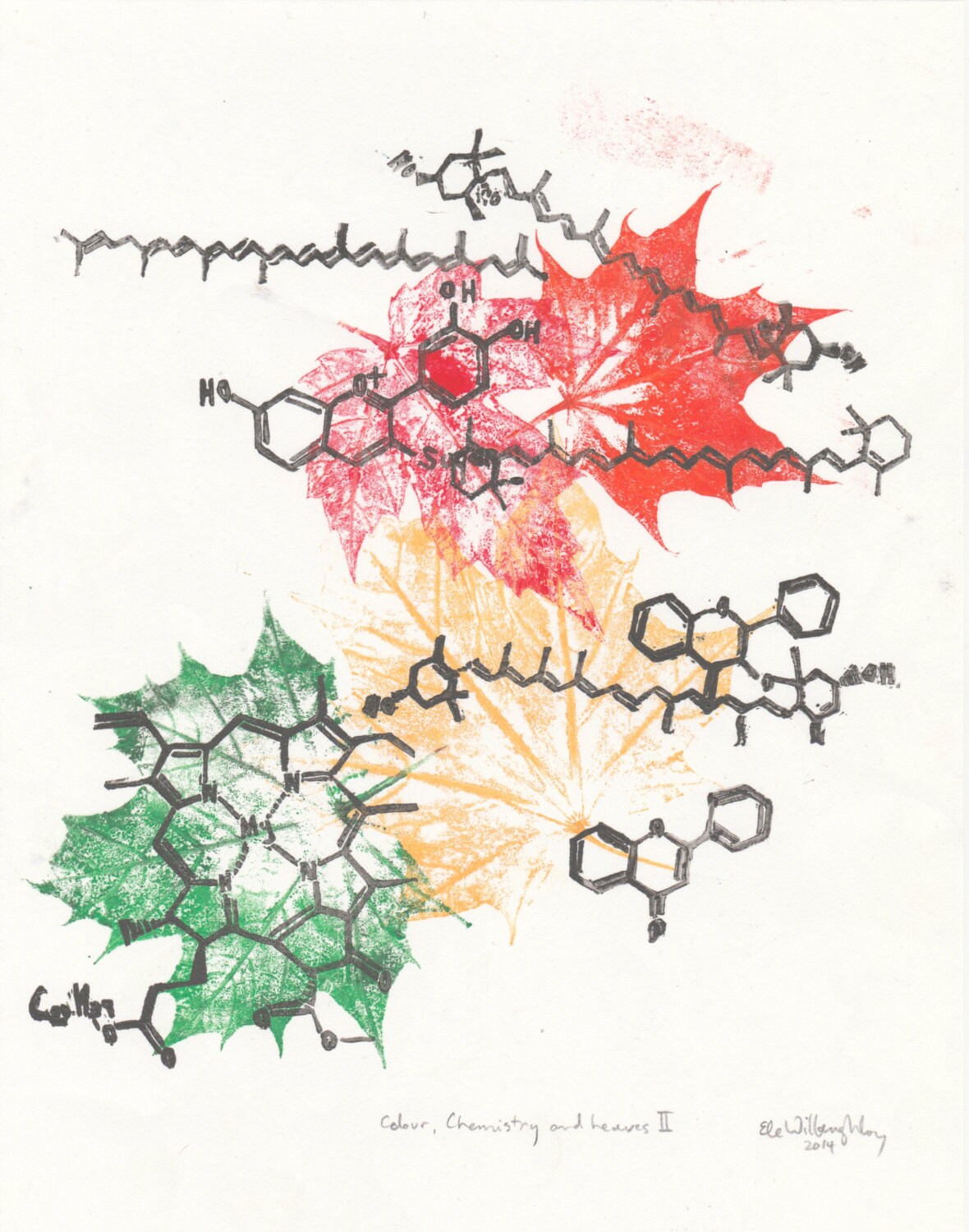 The Chemistry of Leaf Colour Linocut and Leaf Prints by minouette