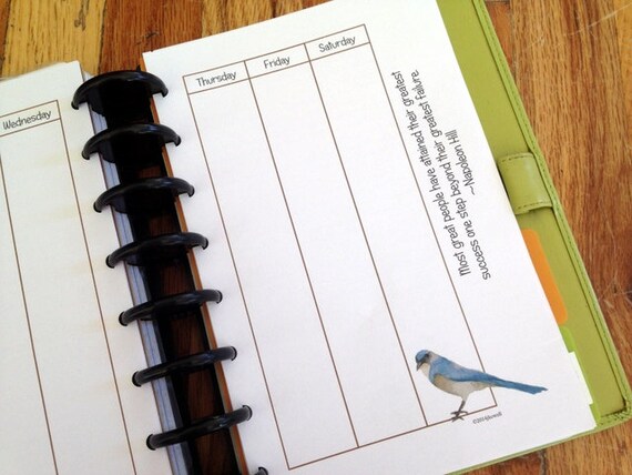 WEEKLY Editable Watercolor Second Edition by fibersandtwigs