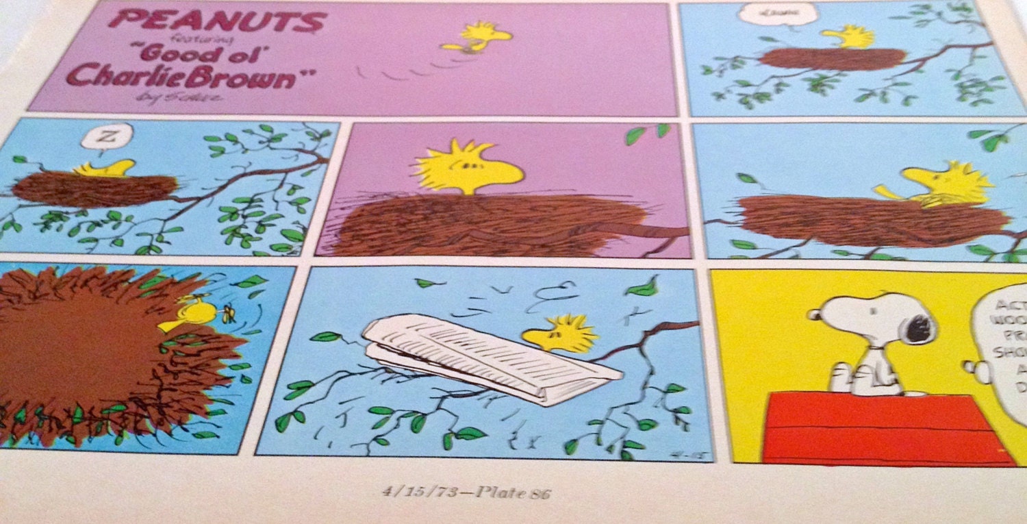 Charlie Brown Comic Newspaper delivery Woodstock Snoopy