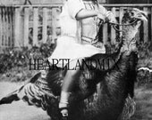 Items similar to Thanksgiving Greetings Turkey Ride Vintage Image on Etsy