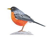 Popular items for wisconsin state bird on Etsy