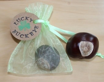 Lucky Buckeye Fairy Garden Miniature Terrarium Supply, St. Patrick's ...