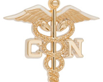 Licensed Practical Nurse Lapel Pin Charm or Necklace in SS