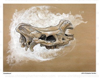 Entelodont Terminator Pig Fossil Study 11x14 by ChrisHerndonArt