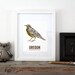 Oregon State Bird Nature art Outdoor art Vintage Map art