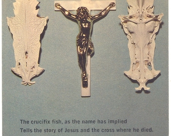 Popular items for fish seashells on Etsy