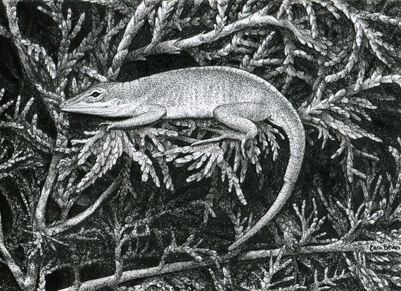 Lizard Pen & Ink Drawing Anole Loafer