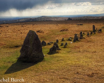 Ancient track near Middlemoor with wild garlic Dartmoor