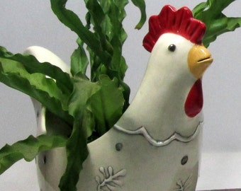 Rooster planter Ready to ship