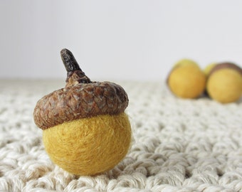 Popular items for needle felted acorn on Etsy