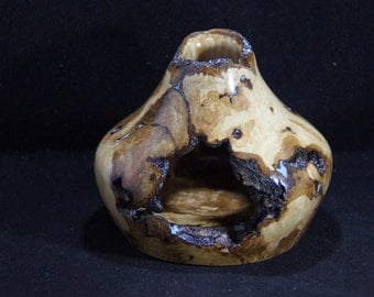 Popular items for beech tree on Etsy