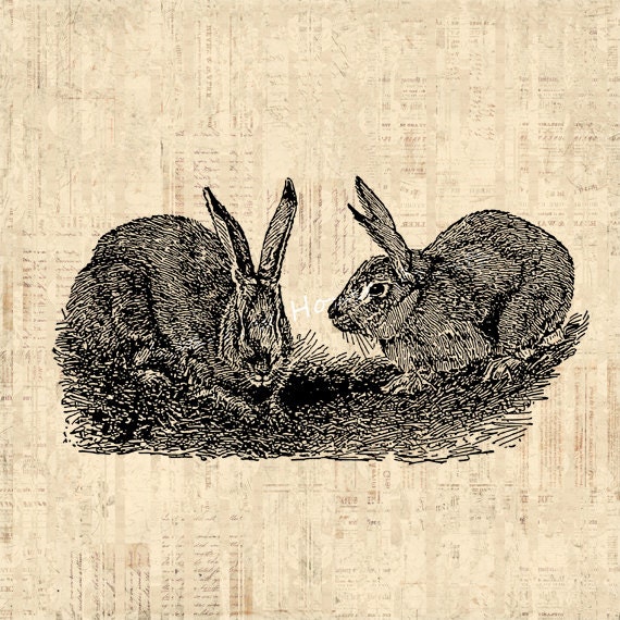 Vintage Belgian Hares Wall Art Bunny Rabbits Print Antique Artwork with ...