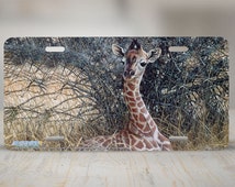 Popular items for cute license plates on Etsy