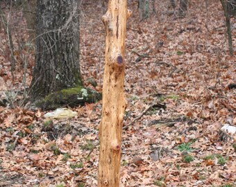 On Sale Rustic Cedar Log Hall Tree Coat Tree