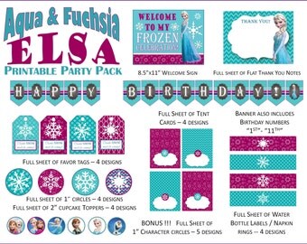 FROZEN Inspired Banner Green Fuchsia Damask by FantasylandBoutique