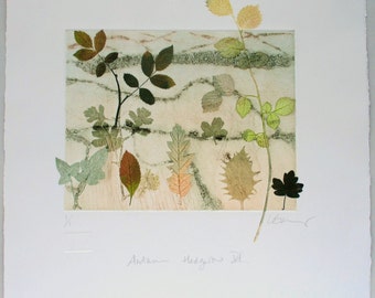 Eco inspired printmaking. Etching drypoint by LynnBaileyPrintmaker