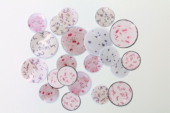 Bacteria Vinyl Stickers Science Sticker by sandraculliton on Etsy