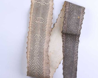 Real snake skin | Etsy