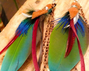 Parrot /parrot feather earrings feather earrings