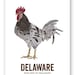 Delaware State Bird Nature art Outdoor art by WoodenPencilCo