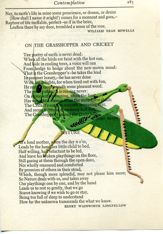 On The Grasshopper and Cricket Real Poetry Book by SmittensDesigns