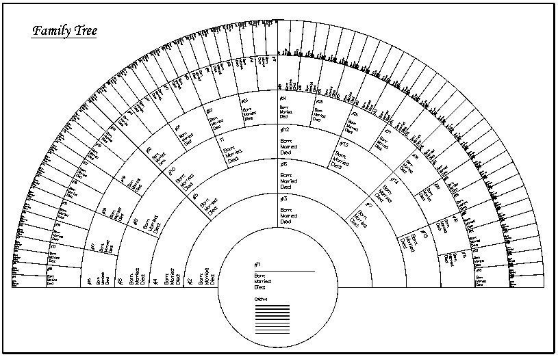 Large Family Tree Chart Fan Style 36 x 24