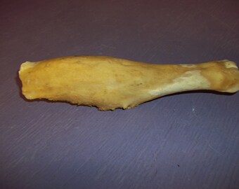 Deer toe bones | Etsy