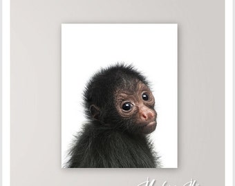 SALE Baby Monkey Nursery Art Print - Animal Nursery Decor - Safari ...