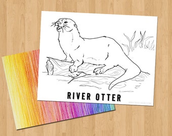 Popular items for river otter on Etsy
