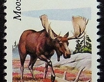 Unique moose stamp related items | Etsy