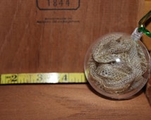 Popular items for ball python on Etsy