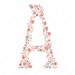 Professional Floral Alphabet Clipart & Vectors Coral and