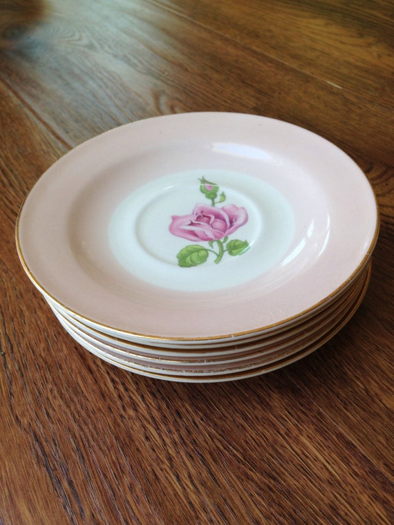 Edwin Knowles semi vitreous plates rose by wickedlabelindustry