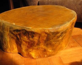 Tree Stump Table... A beautiful centre piece for your lounge.