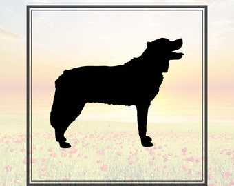 Collie stencil | Etsy