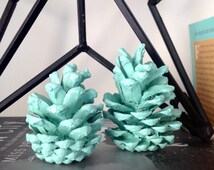 Popular items for painted pine cones on Etsy